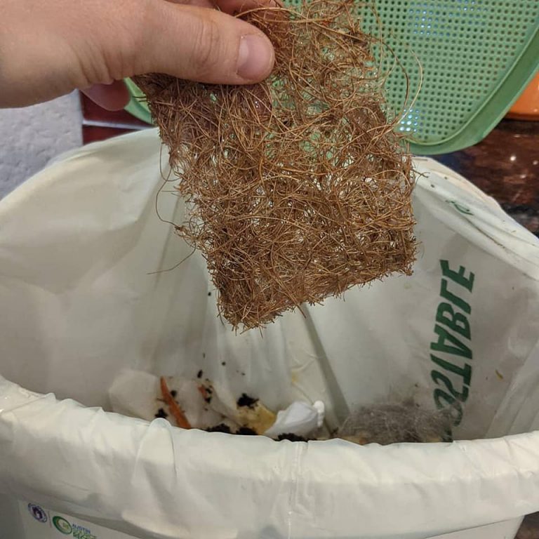 Coconut Scrubbers - a little more green